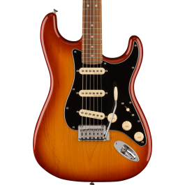 Fender Player Plus Stratocaster Electric Guitar. Pau Ferro Fingerboard ...